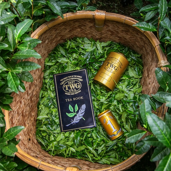 The Long-Awaited TWG Tea You've Been Waiting For - Esquire Singapore