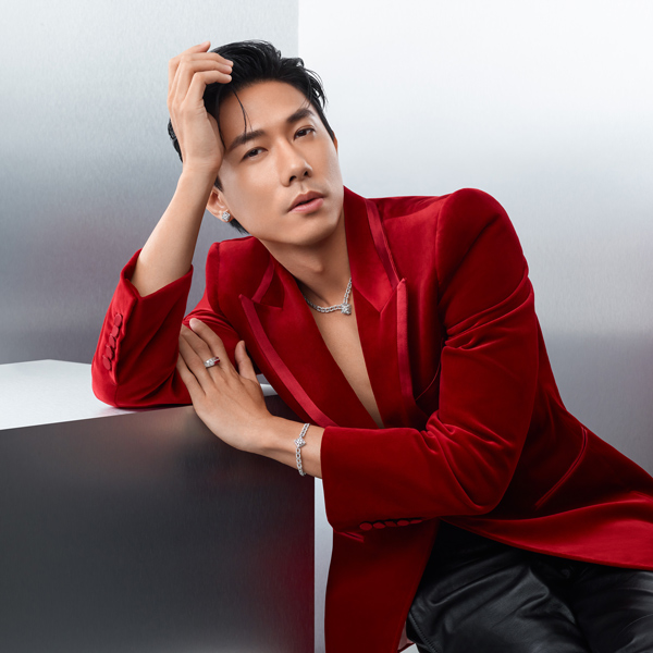 Desmond Tan: Lee Hwa's First Brand Ambassador